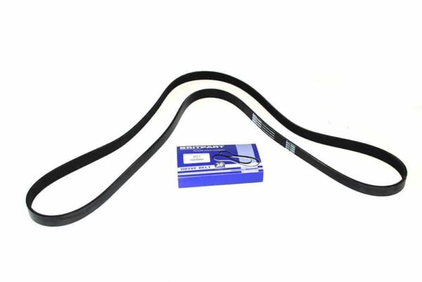 V-Belt - PQS500081 - BRITPART - Vitesse Land Rover Parts Shop